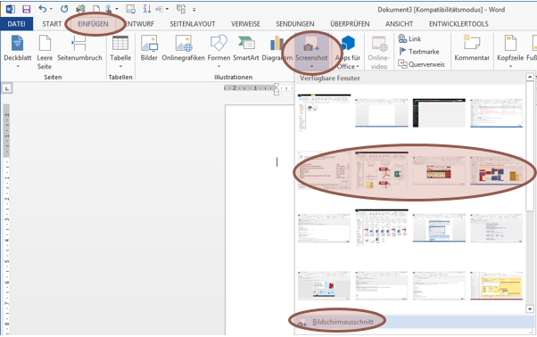 Screenshot in Office-Dokument einfügen | Soprani Software